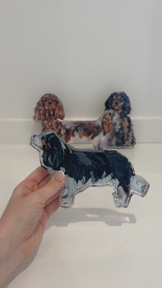 "Cavalier King Charles Tri" acrylic – Chelsea McShane Art